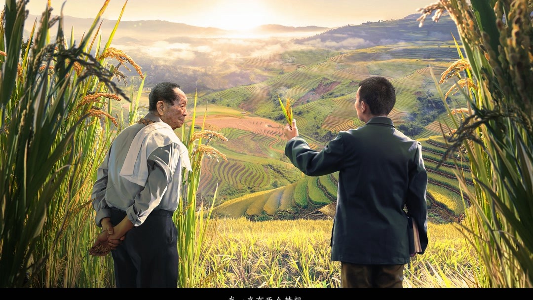 致敬国之脊梁丨袁隆平的杂交水稻到底多厉害?