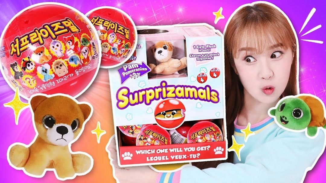 基尼的快乐!基尼的宠物!