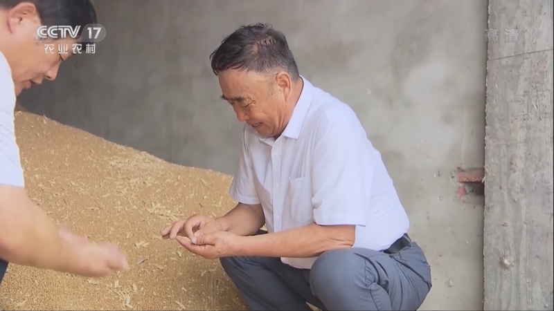 ...种粮大户带动广大小农户多种粮种好粮 一起为国家粮食安全贡献力量