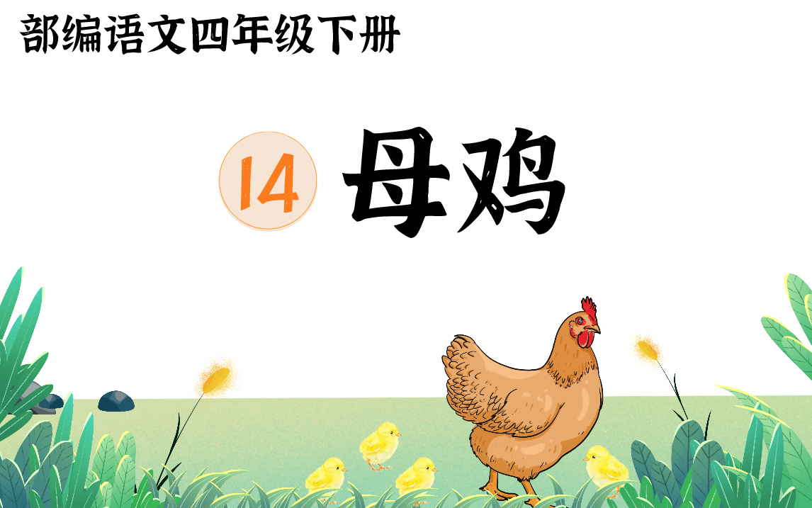 四年级下部编人教语文同步教材视频 第14课《母鸡》