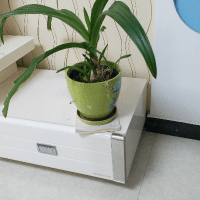 大鱼用户1541422641025732 