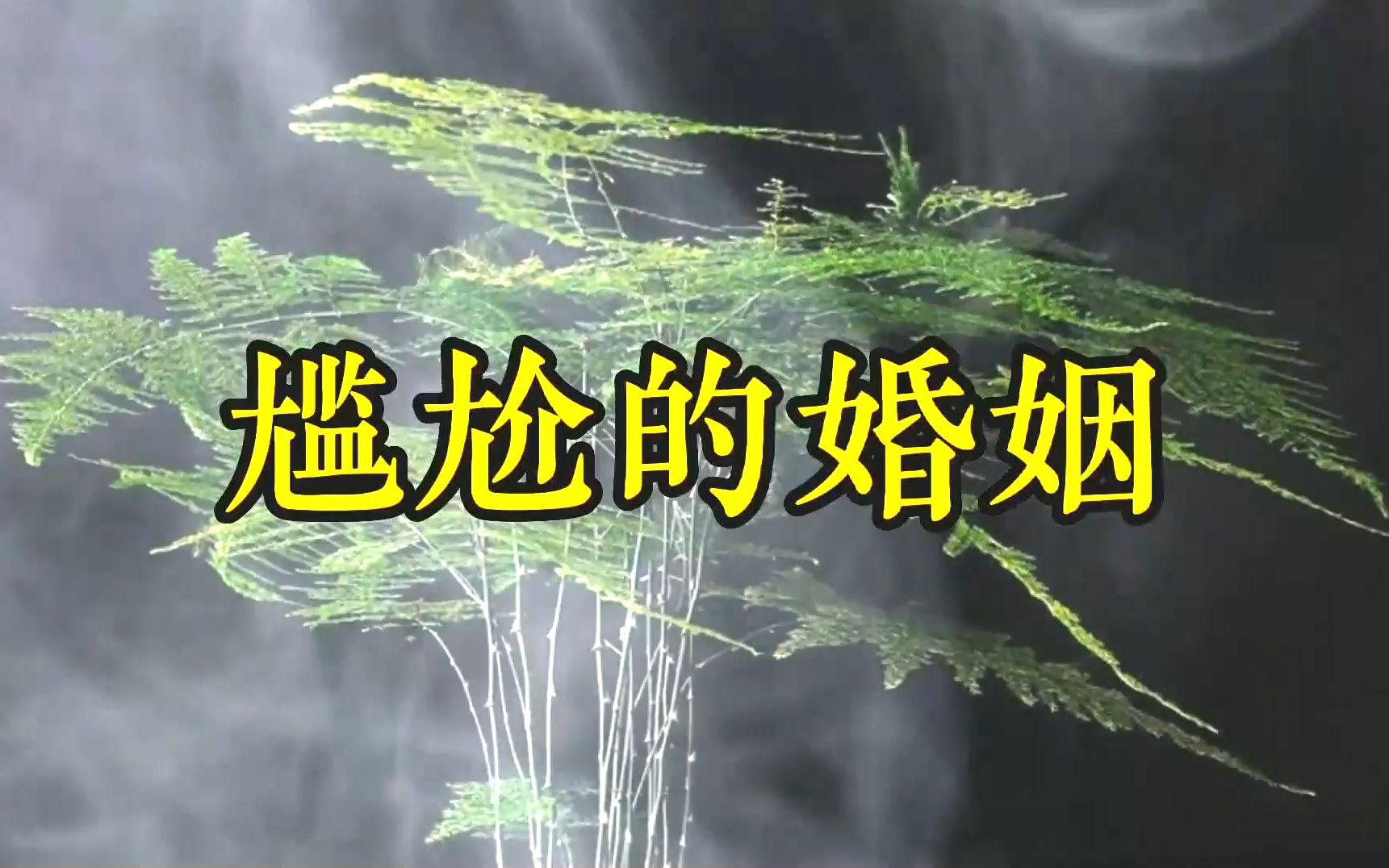 《尴尬的婚姻》作者,王安忆