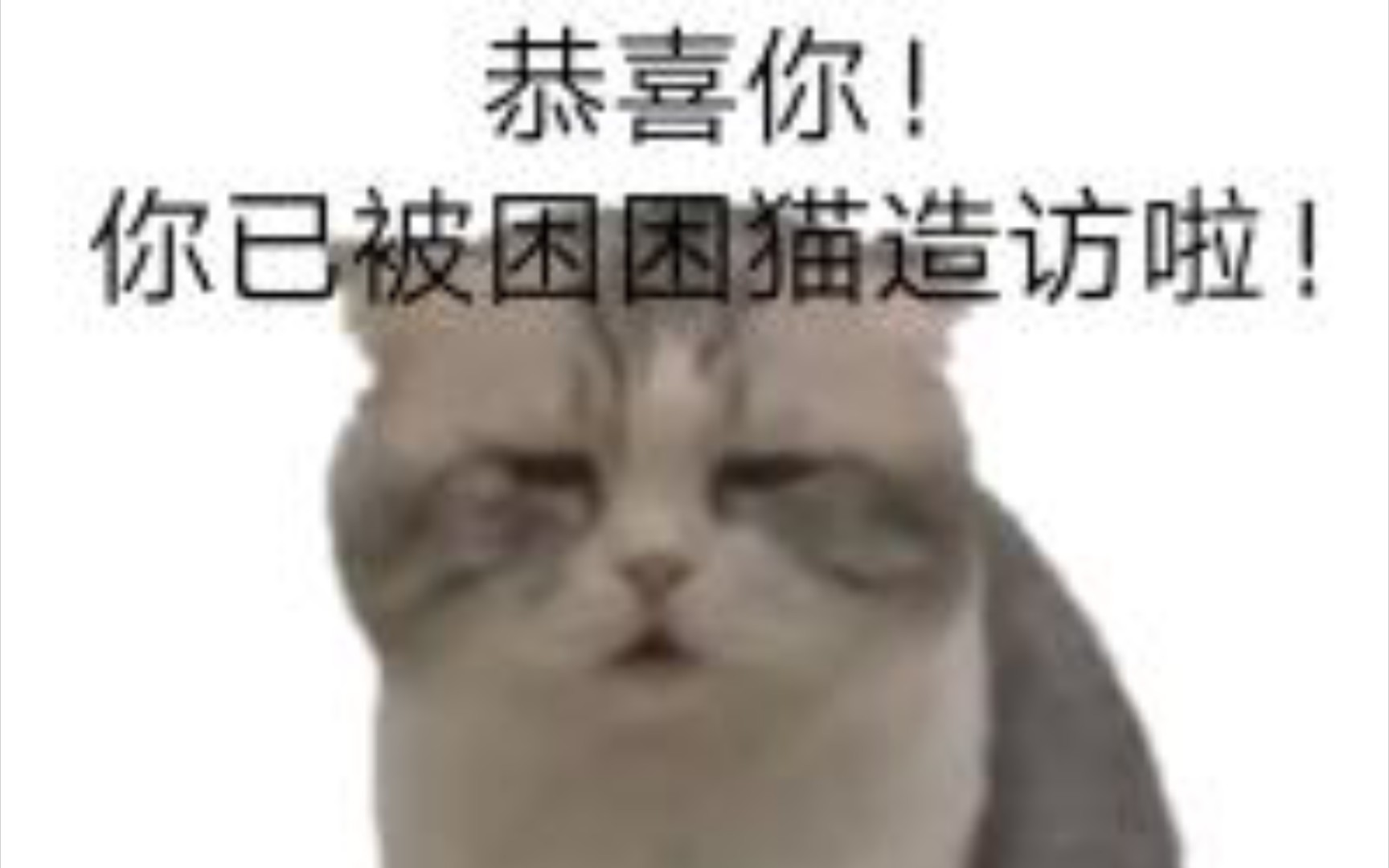 [天眼查询病毒]建议事项