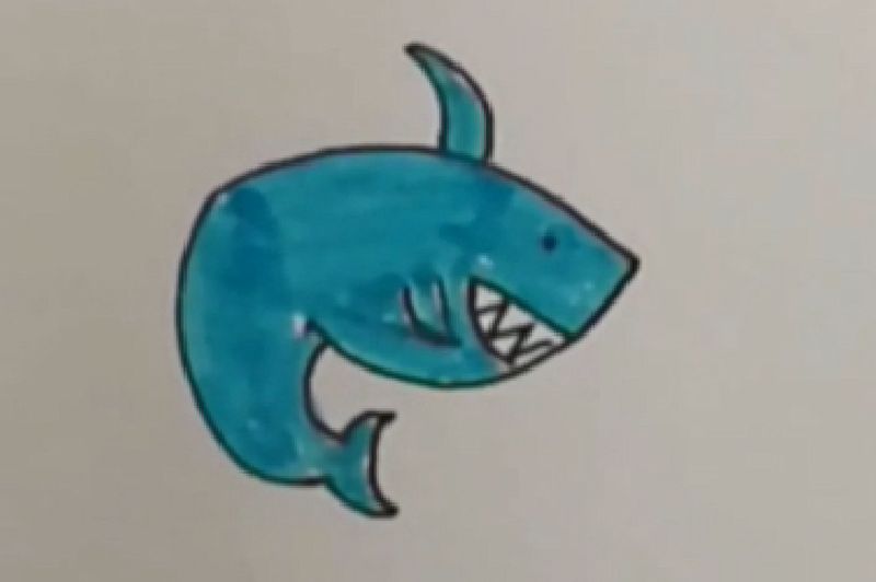 宝宝教你画个简笔画鲨鱼吧