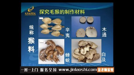 小学五年级综合实践活动名师精讲_探秘毛猴_赵雅丽_金老师家教