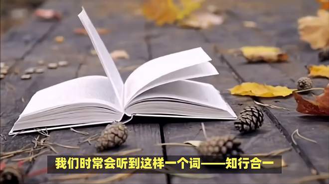 大学生如何将理论与实践相结合?