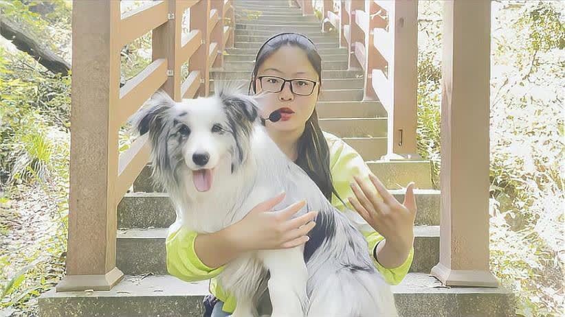 「新手养狗」养什么类型的狗适合自己的家庭,准确定适合养什么狗