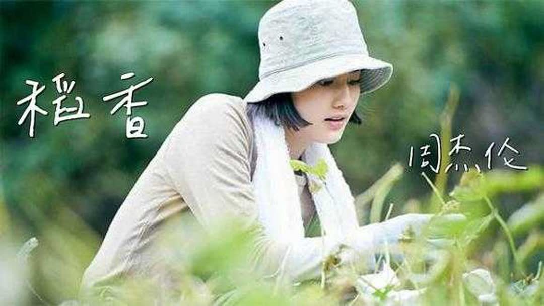 周杰伦携手厦门六中学生合唱《稻香》,开口仿佛青春回溯,真好听