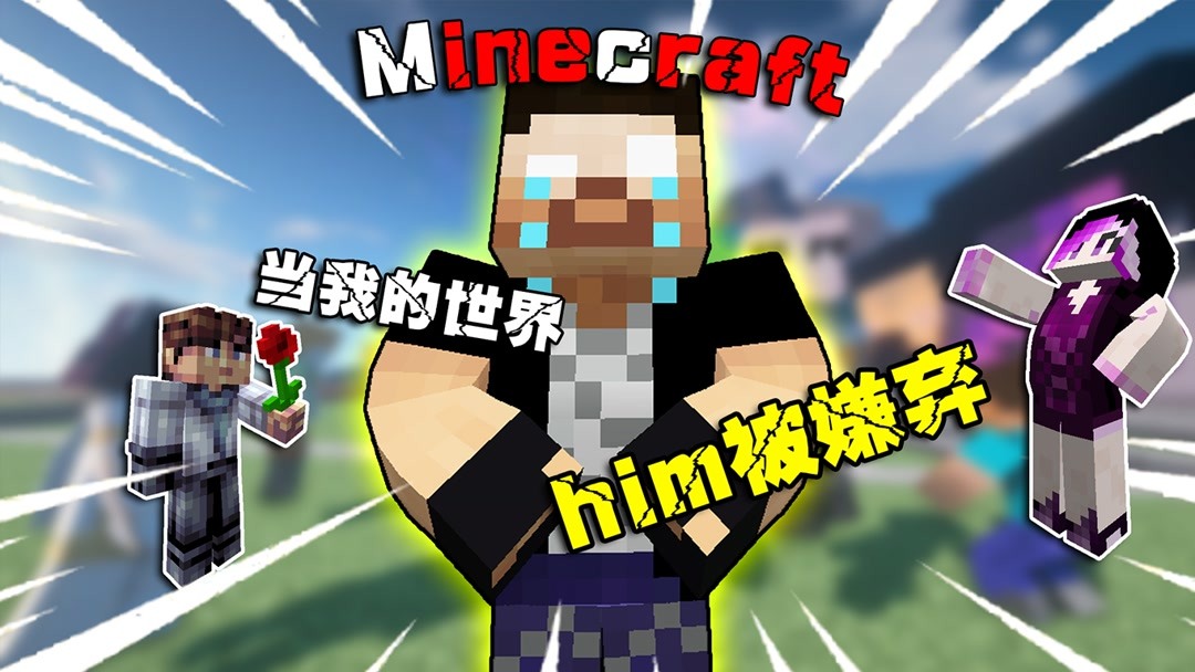 我的世界:当mc中him被嫌弃