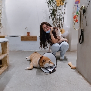 阿狗狗de小房间 