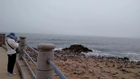 钢架自行车的海边骑行后的预防性保健,及时上油防止生锈。