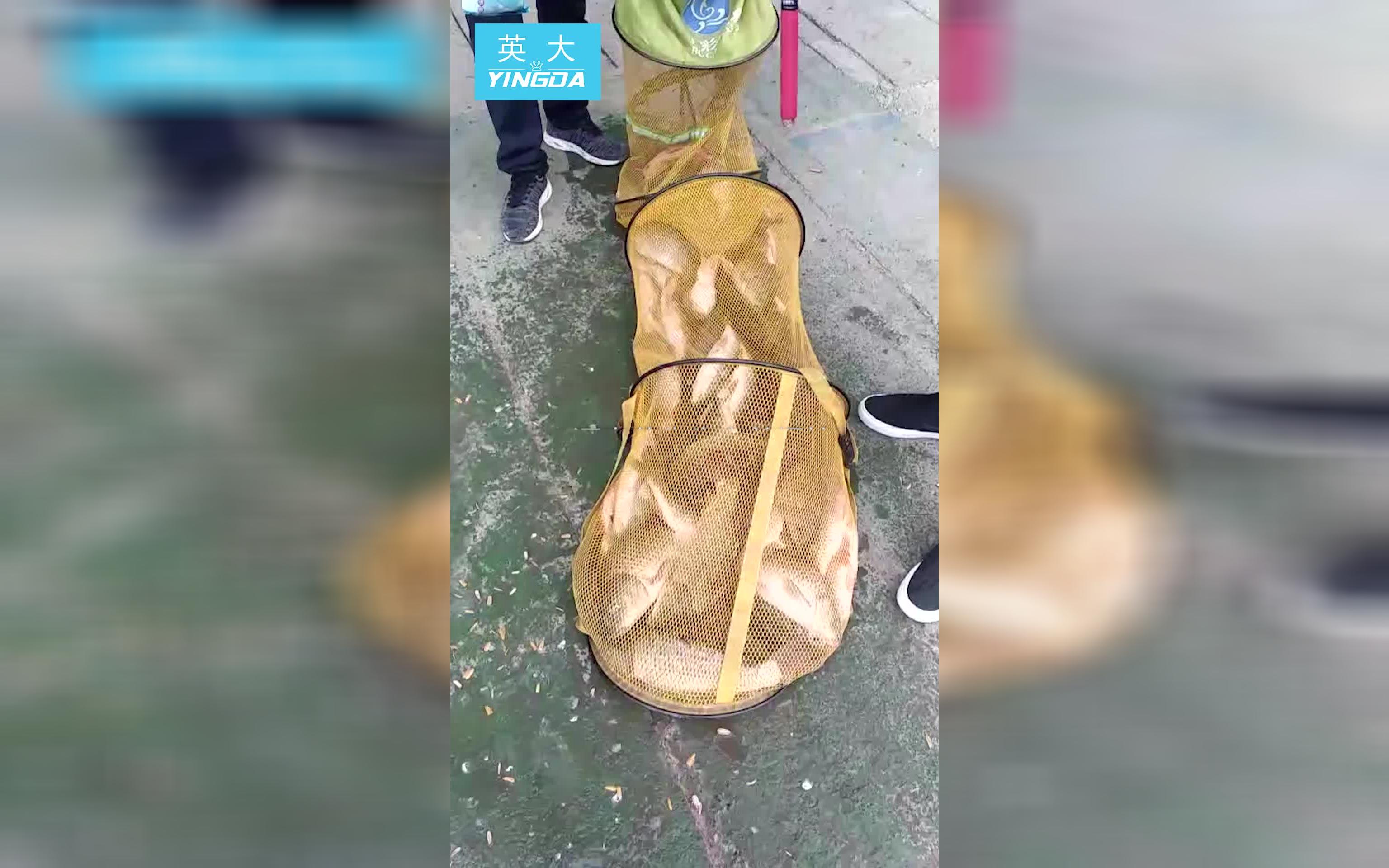 河南钓友范先生英大多魔hk6.3.9完美爆护