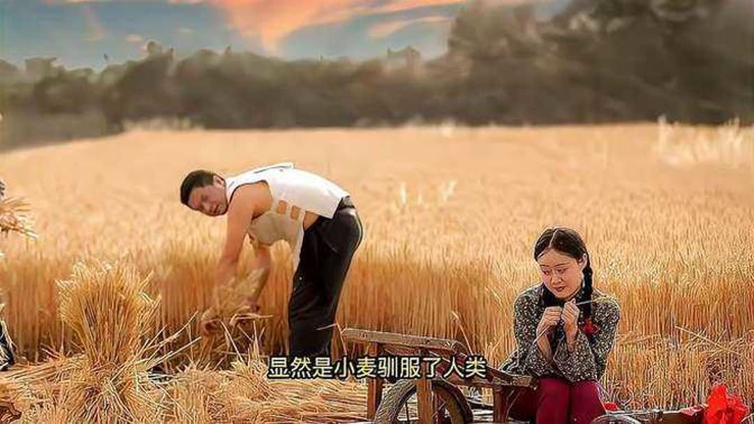时间简史:这3件大事,构建了一个从无正义的人类历史