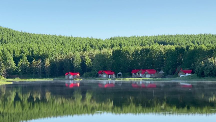 塞罕坝国家森林公园留给我的印象