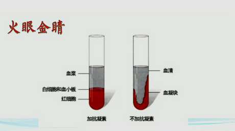人教版七年级下册生物4.4.1流动的组织血液