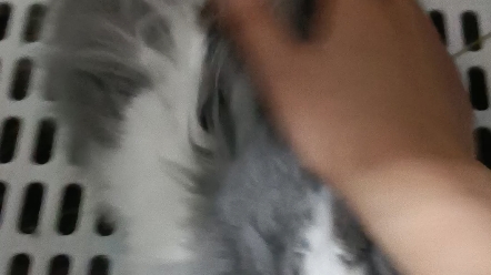 感应灯灭了,哈哈哈,我也不想的,要是声控的就好了,哈哈,抓到一直小兔...