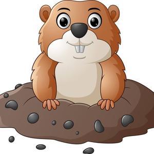 土拨鼠影音混剪 