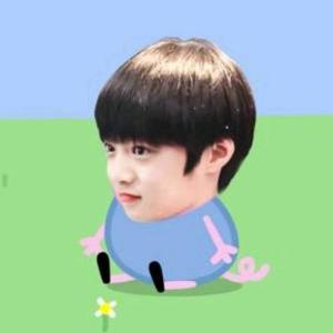 小狗喜欢眨眨眼 