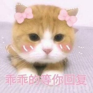 小花猫韩国流行电子音乐 