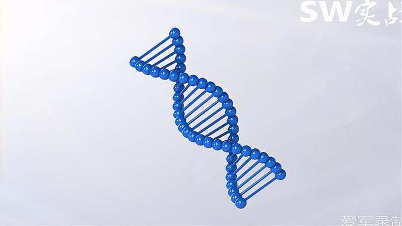 solidworks教程SW实战营绘制一个双螺旋DNA分子结构模型