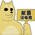 联盟进化史阿灰 