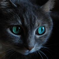 黑猫Gaming 