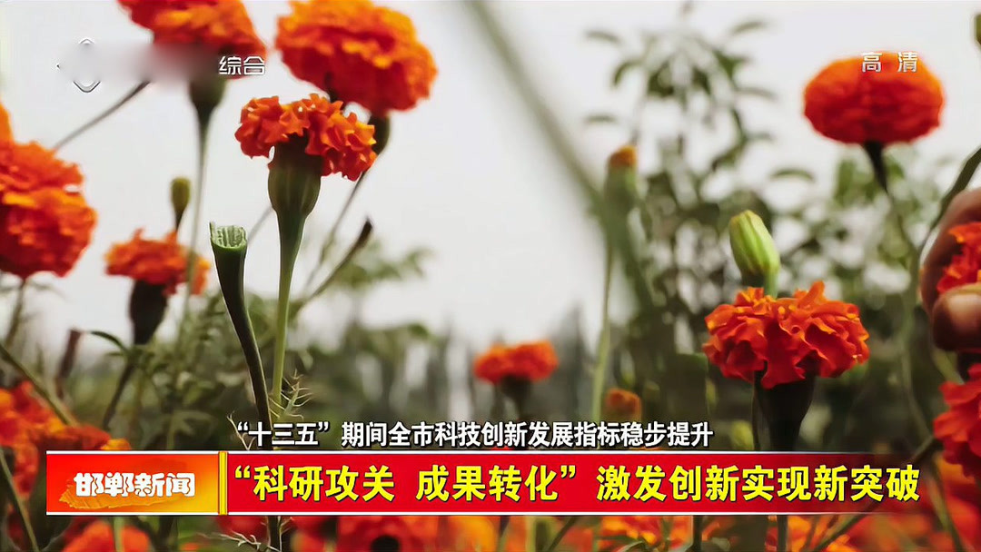 “科研攻关 成果转化”激发创新实现新突破