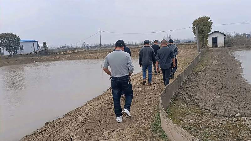 农村最具前景赚钱养殖,80后小伙走在行业的前头,年收入100多万