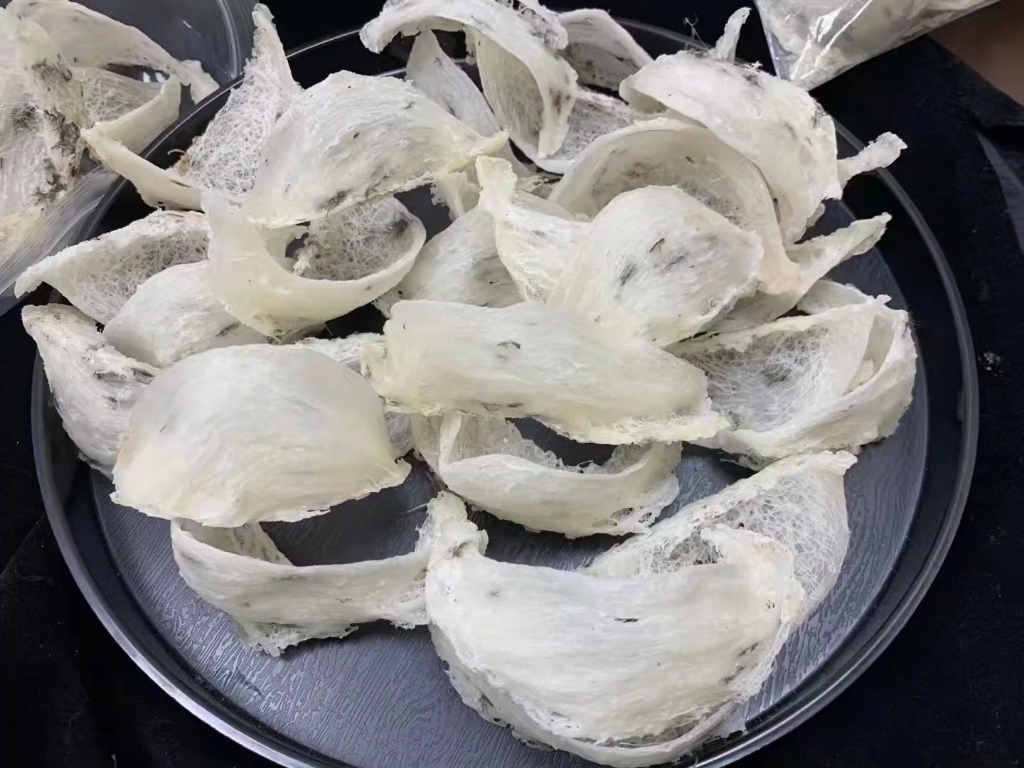 美容养颜增强免疫力燕窝所含的能促进细胞分裂的激素和表皮生长因子...