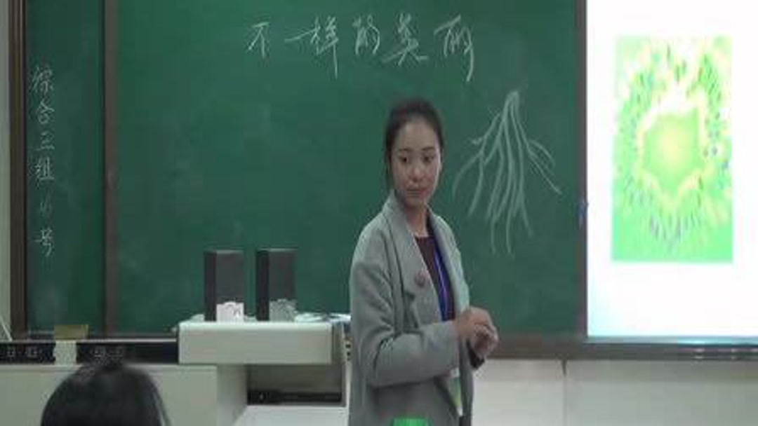 教师招聘试讲:初中美术即兴演讲与模拟上课——朱敏