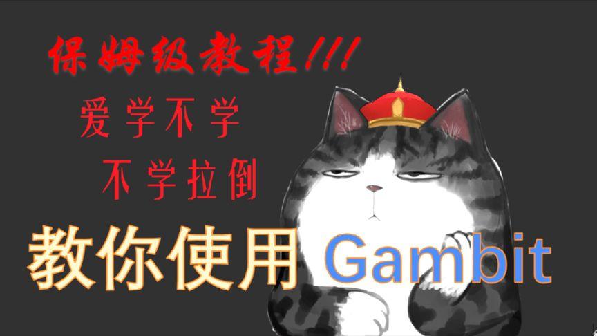 【怂管木觉兽】保姆级教程 手把手教你如何使用gambit(一)