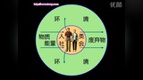 人类社会与环境的相关模式