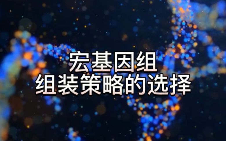 宏基因组组装策略