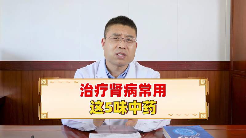 治疗肾病常用 这5味中药