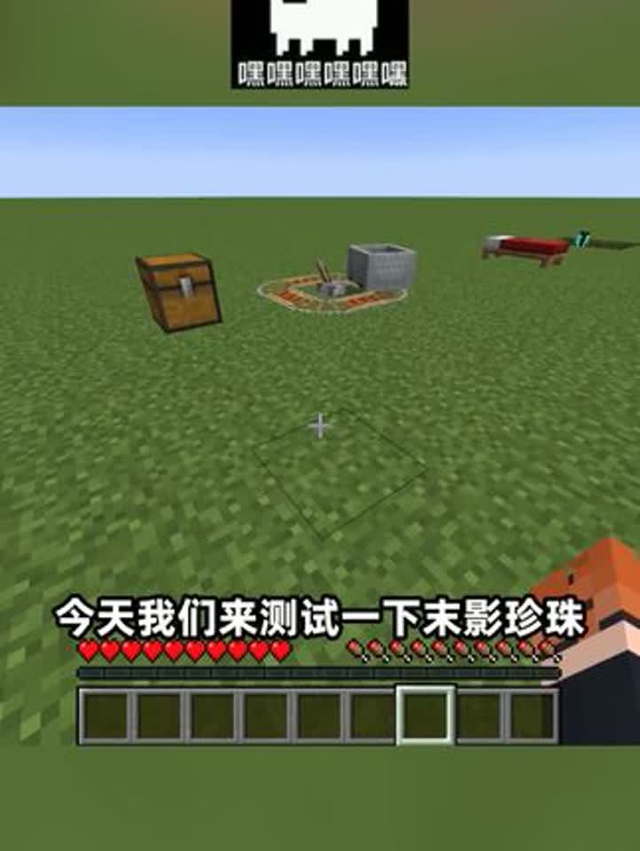 如果你在躺下前仍一个末影珍珠 #我的世界