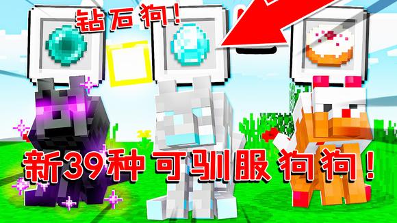 我的世界:新39种可驯服宠物!帅气末影狗可爱蛋糕狗!我全都要!