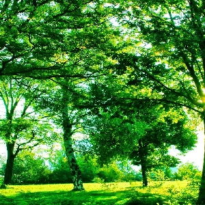 东乔老师环境易学择吉 