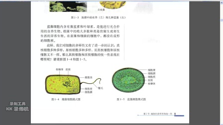 杨自良 高中生物人教版必修一 1.2细胞的多样性和统一性2