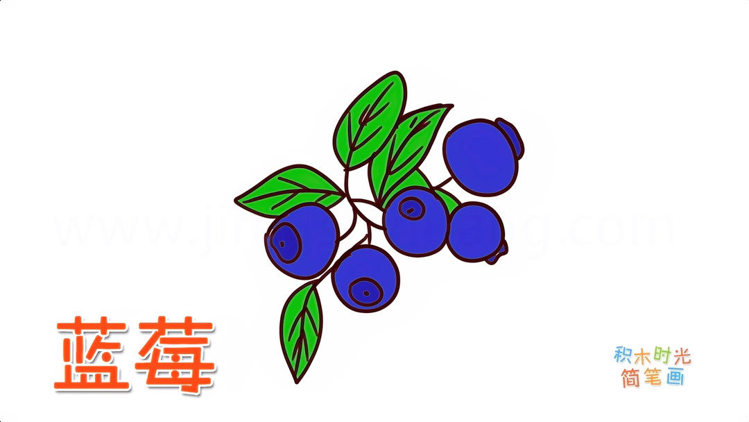 水果简笔画教程,蓝莓简笔画画法