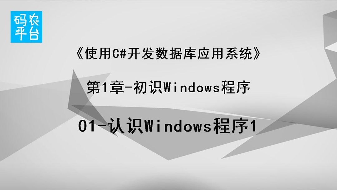 01-认识Windows程序1