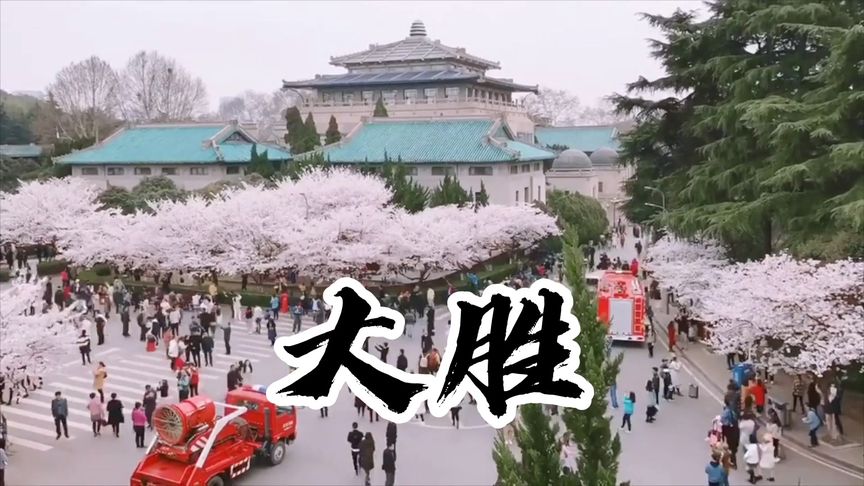 待到樱花盛放,欢迎再来武汉,我们约定去武汉看最美的樱花