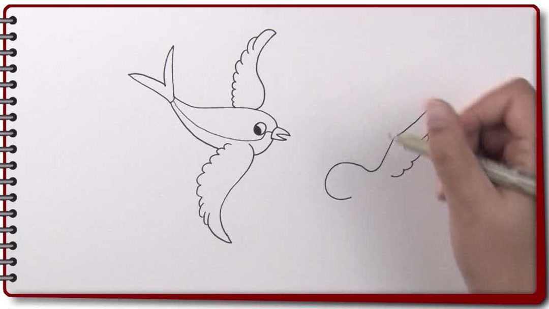 趣味少儿简笔画教学: 傲慢的燕子, 原来画好动物这么简单!