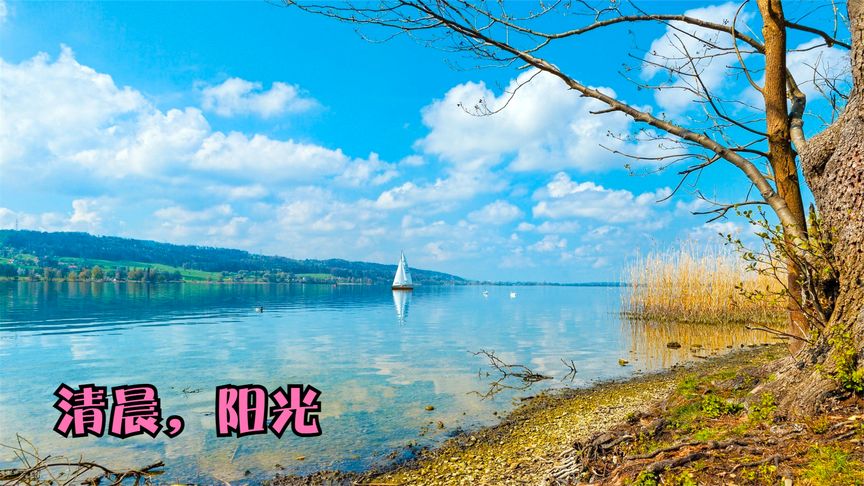唯美轻音乐:人在成长与成功的路途中总会经历磨难,总会经历风雨