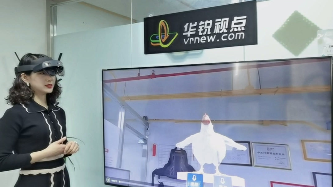 华锐视点vr动物医疗仿真系统体验鸡分解互动视频