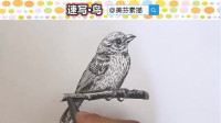教你画一只栩栩如生的小鸟小麻雀手绘画!超逼真动物麻雀速写入门教程!