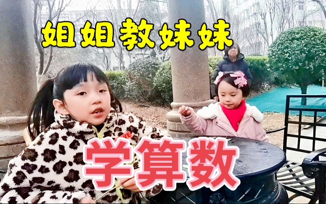 姐姐教妹妹学算术,学10以内加法,用手指头数一数