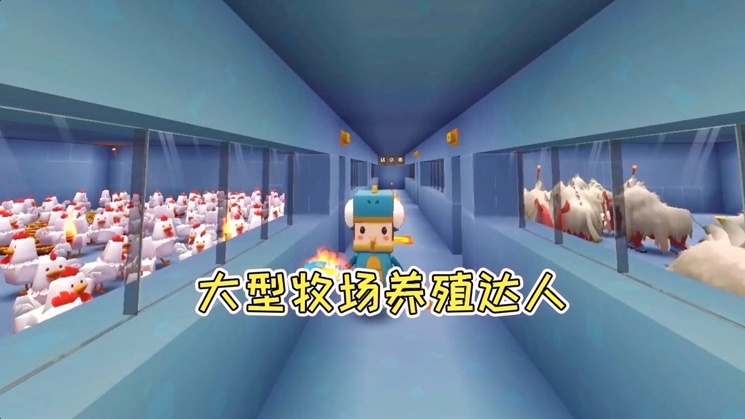 迷你世界生存冒险85:养殖大户皮皮余地下牧场,养那么多鸡不下蛋