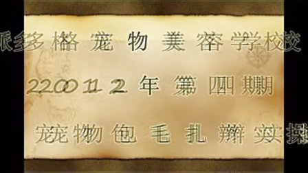 学宠物美容要多少钱_宠物美容师培训视频——宠物包毛扎辫实操