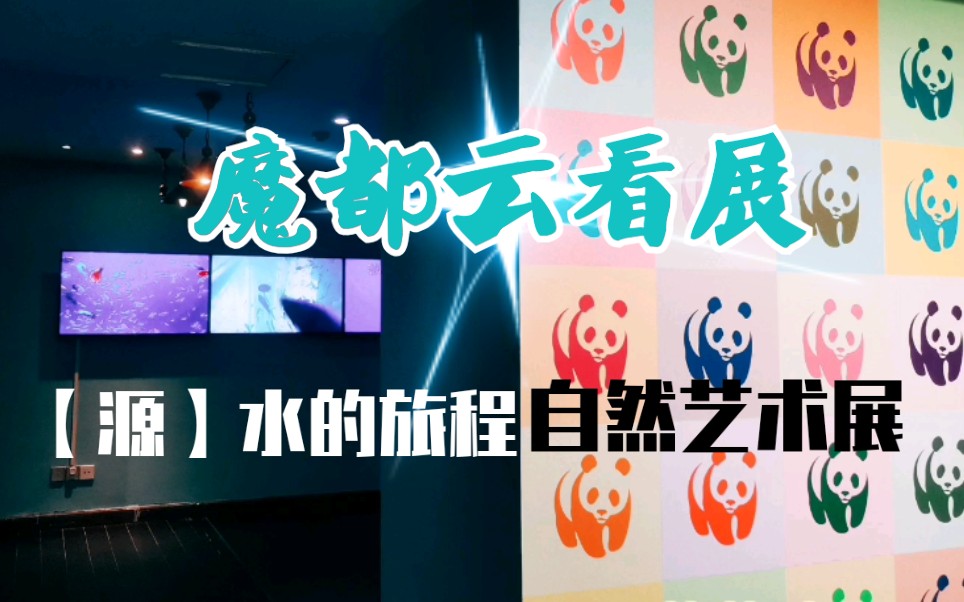 【魔都云逛展】源:水的旅程自然艺术展