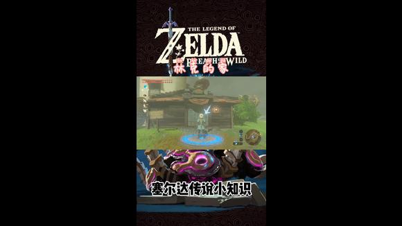 #塞尔达荒野之息 #塞尔达传说 #任天堂switch 小知识系列 第一